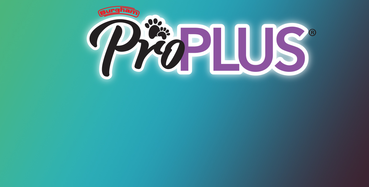 Pro Plus - burgham.ca